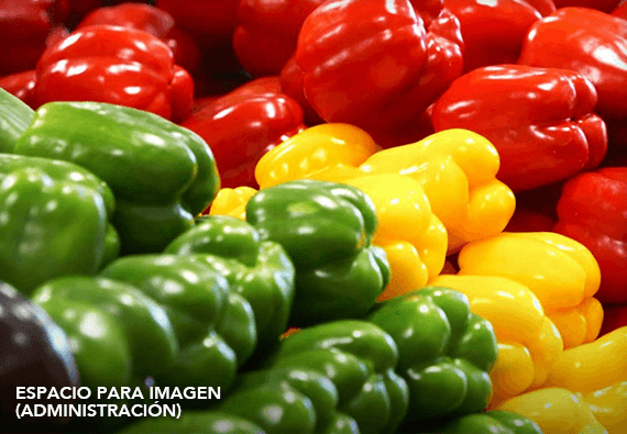 Mega Tacos | Bienvenido